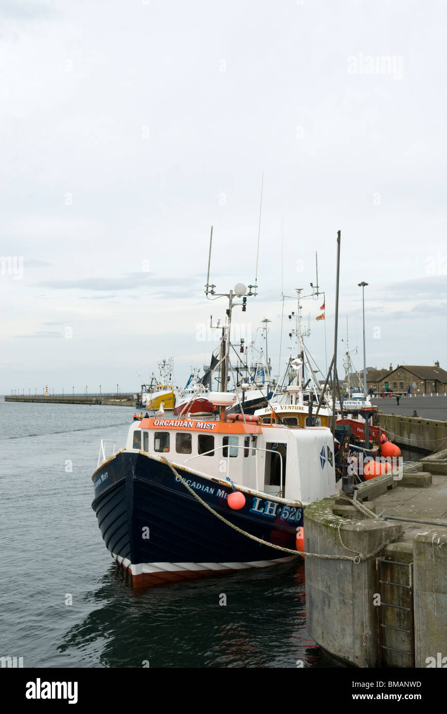 Fishing boats at Amble harbour, Northumberland, England Stock Photo - Alamy