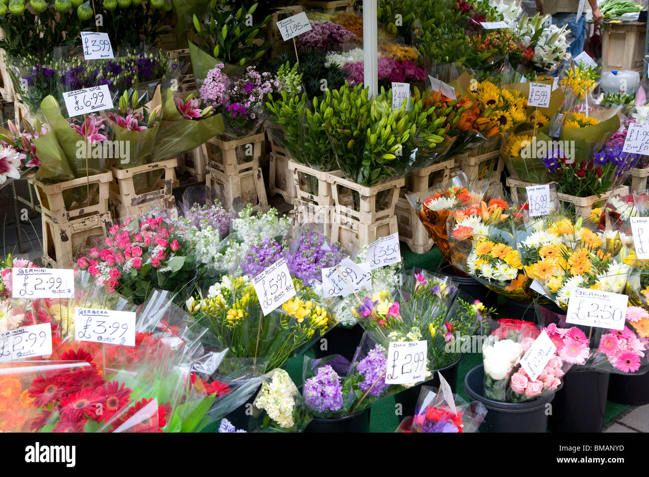 Bunches of flowers hi-res stock photography and images - Alamy