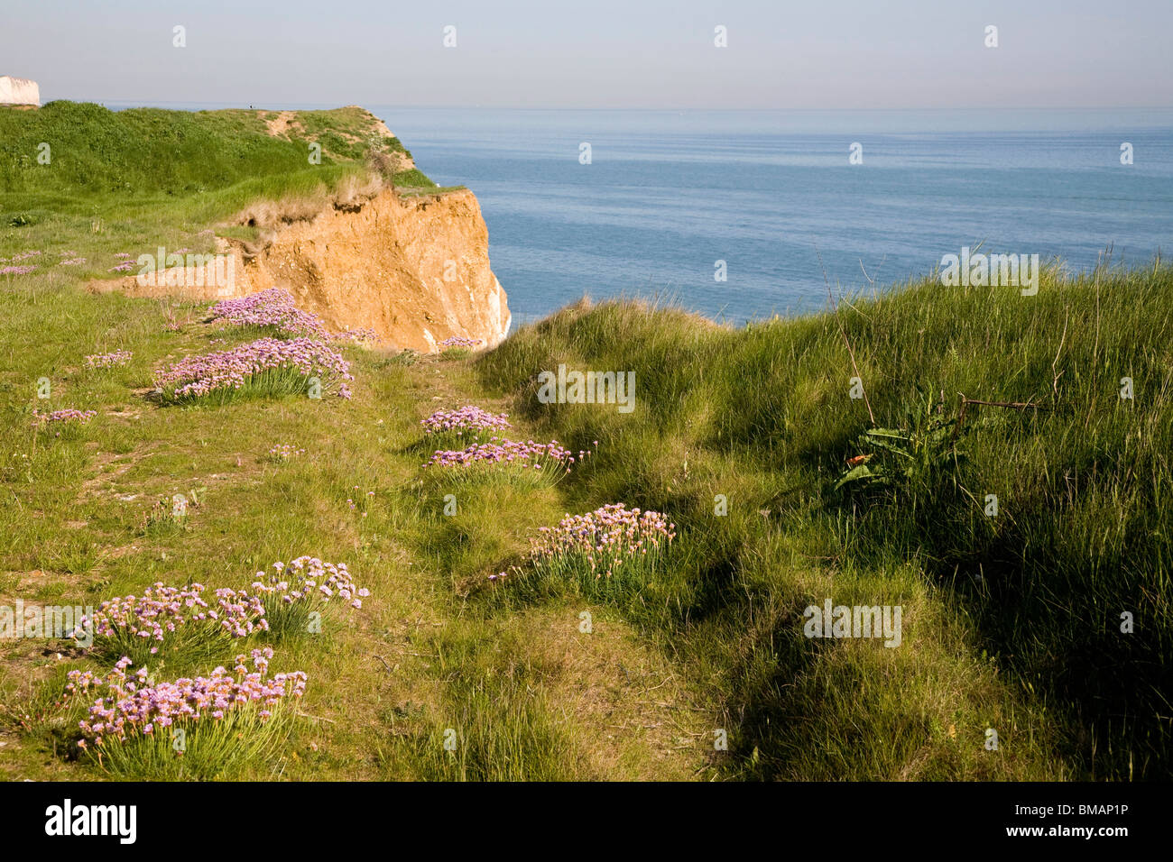 Cliff edge erosion hi-res stock photography and images - Alamy