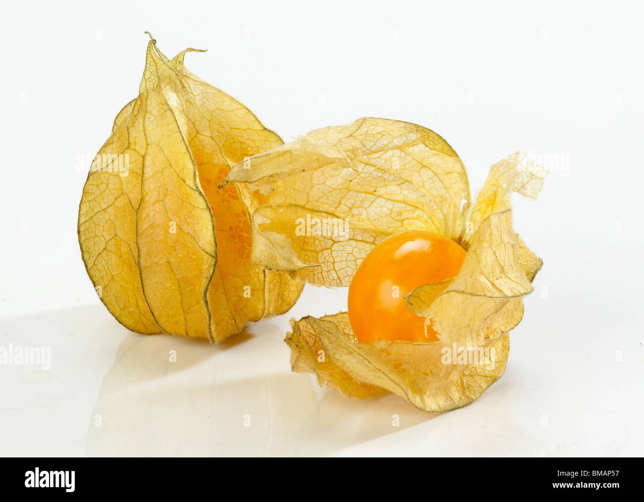 Two physalis hi-res stock photography and images - Alamy