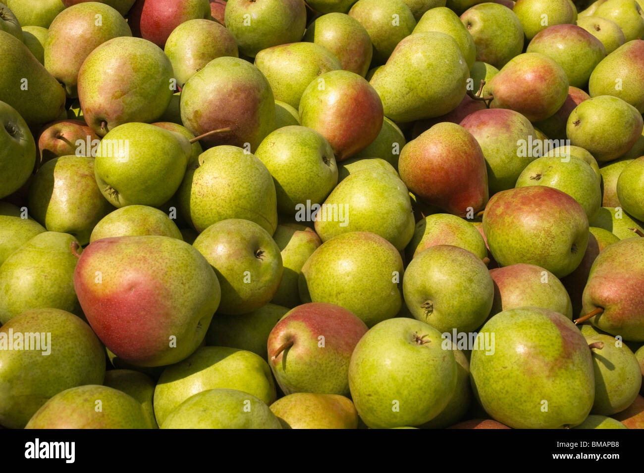 David pears hi-res stock photography and images - Alamy