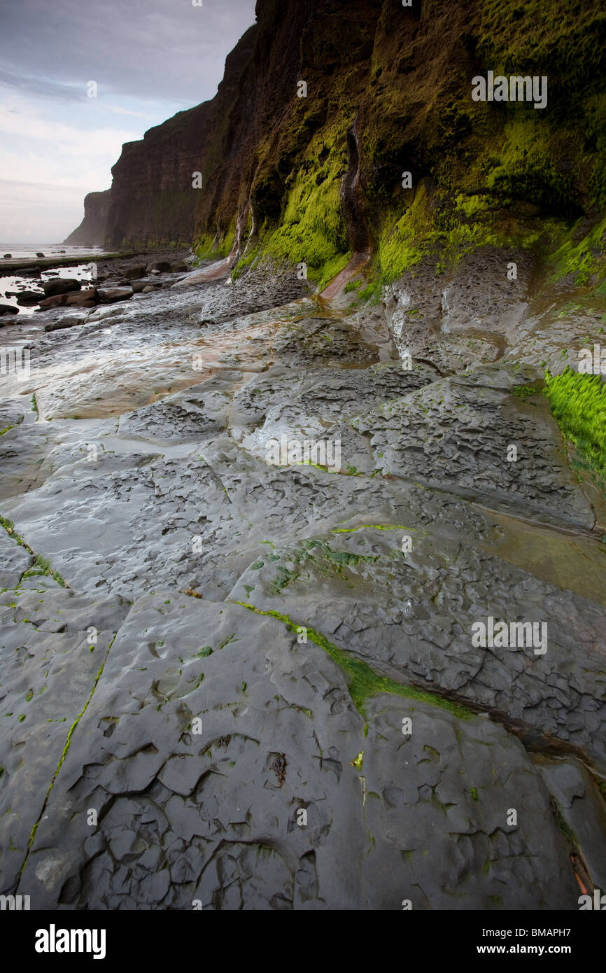 Coastal Rocks Under Hunt Cliff at Saltburn-by-the-Sea, Cleveland ...