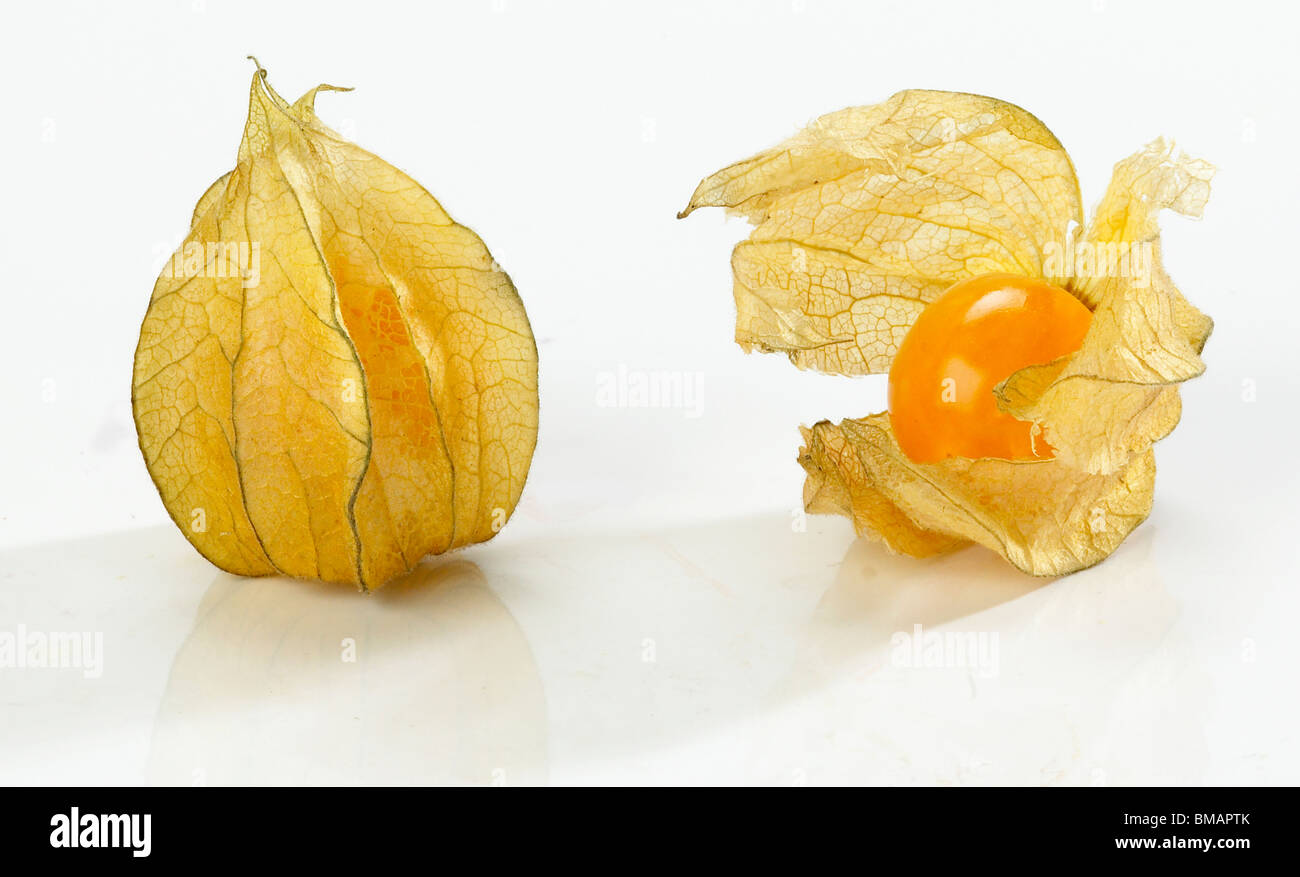 Two physalis hi-res stock photography and images - Alamy