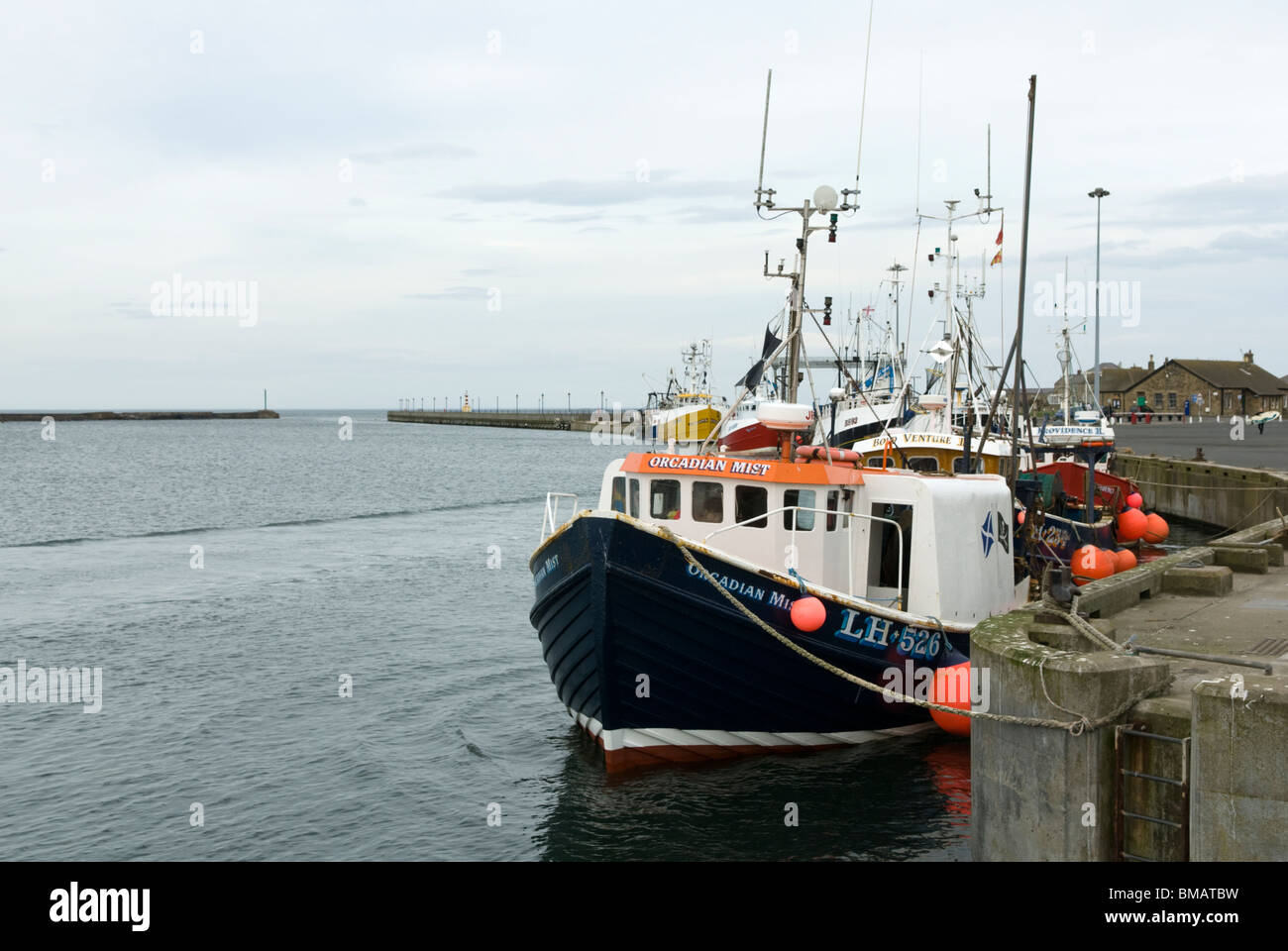 Fishing boats at Amble harbour, Northumberland, England Stock Photo - Alamy