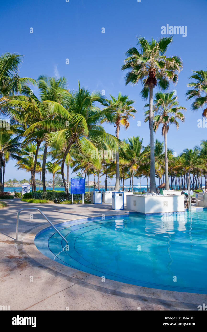 The pool area of the Caribe Hilton resort in San Juan, Puerto Rico ...