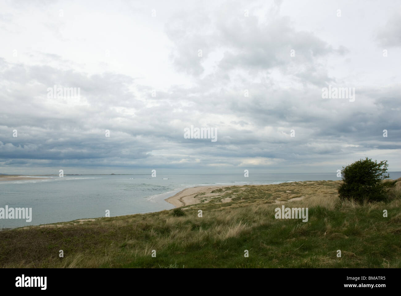 Budle Bay High Resolution Stock Photography and Images - Alamy