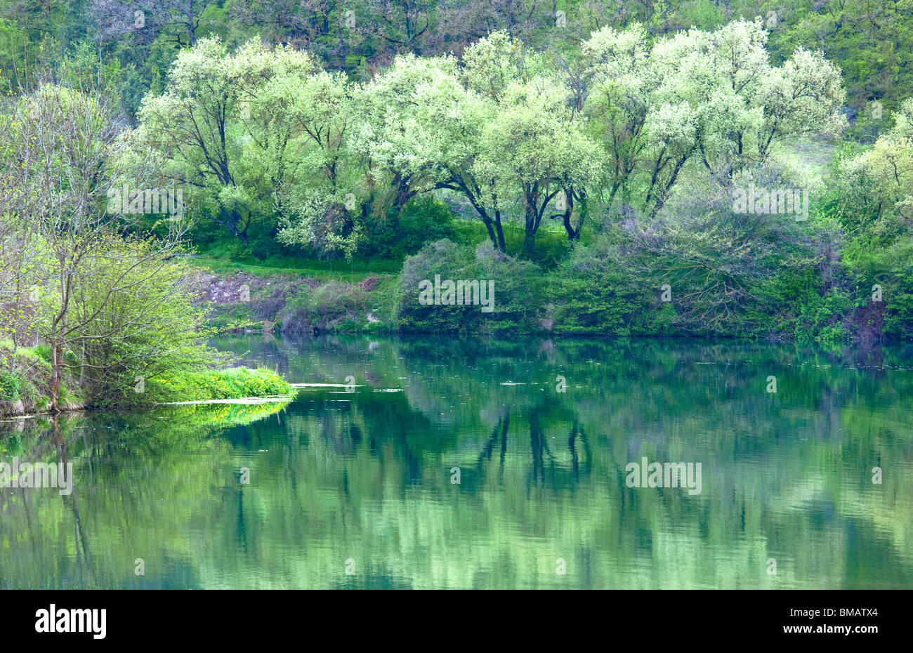 beautiful lake with spring trees and rocks mountain reflection in water ...