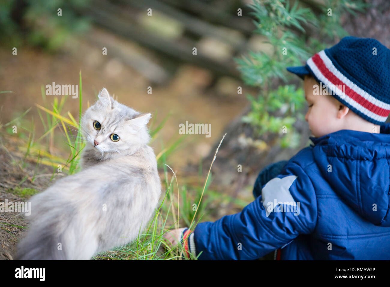 Boy with cat Stock Photo - Alamy