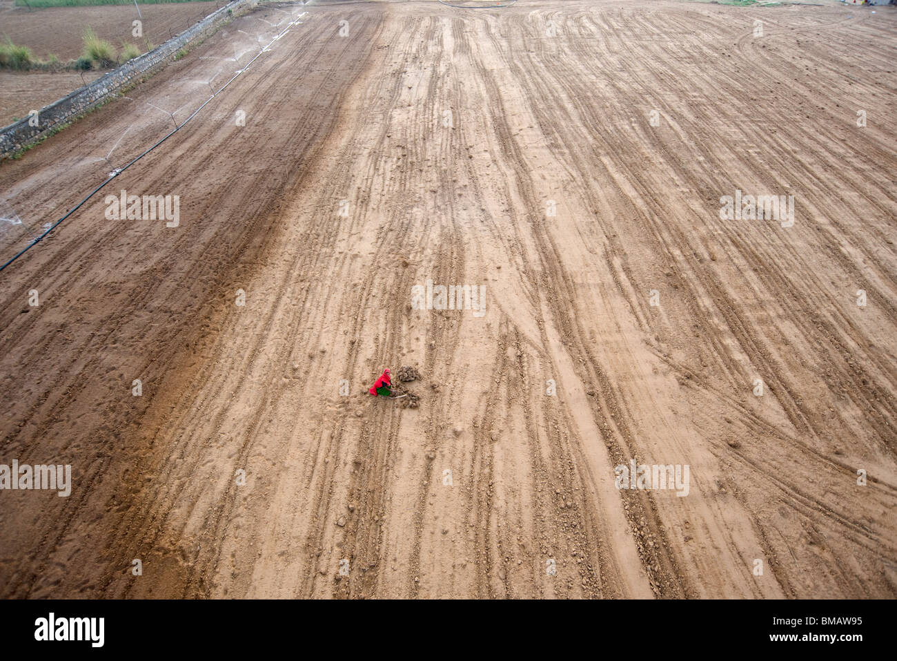 Amber working hi-res stock photography and images - Alamy