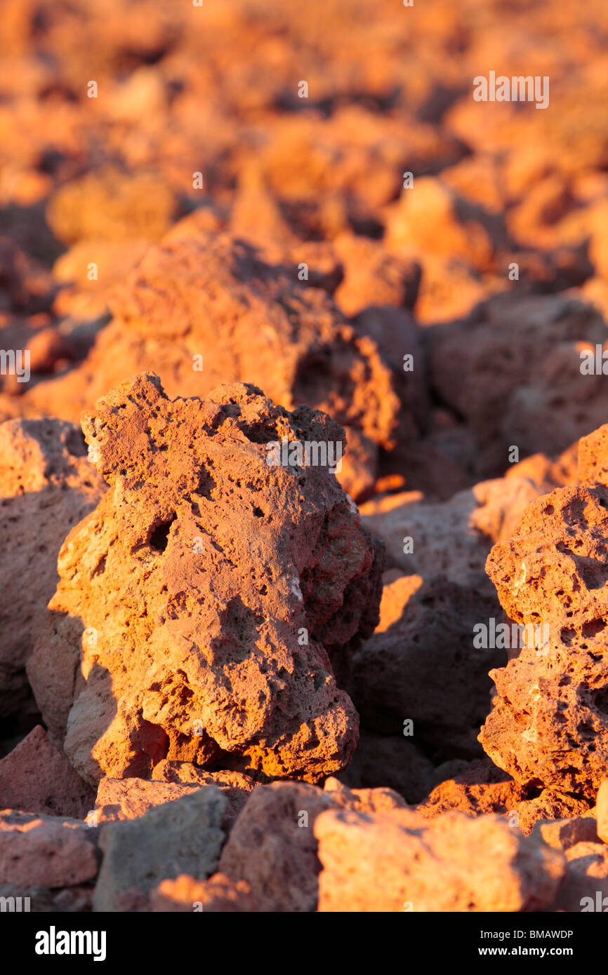 Fields of pumice stone glowing red with the warm late evening sun at ...
