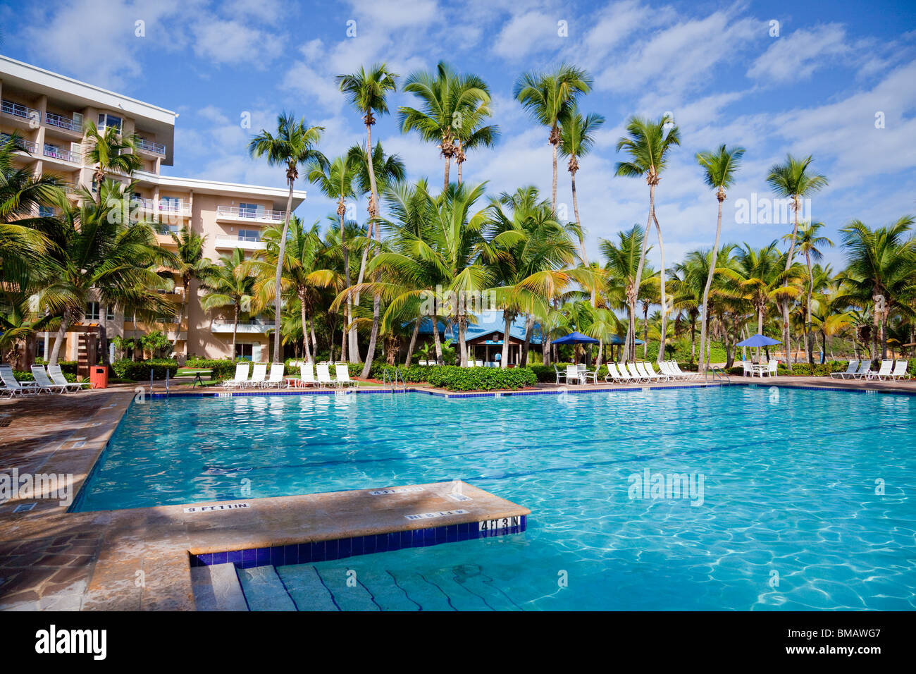The tropical pool area of the Hyatt Dorado resort in Puerto Rico ...