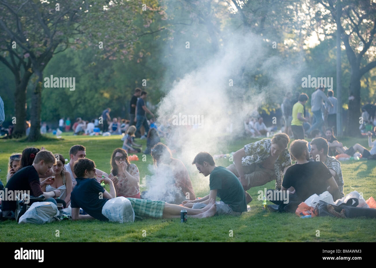 Summer Barbecue in the park Stock Photo - Alamy