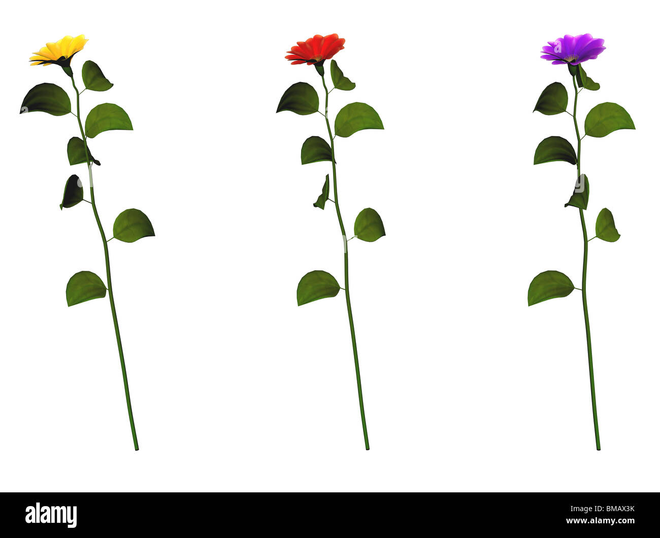 Three blooming plants Stock Photo - Alamy