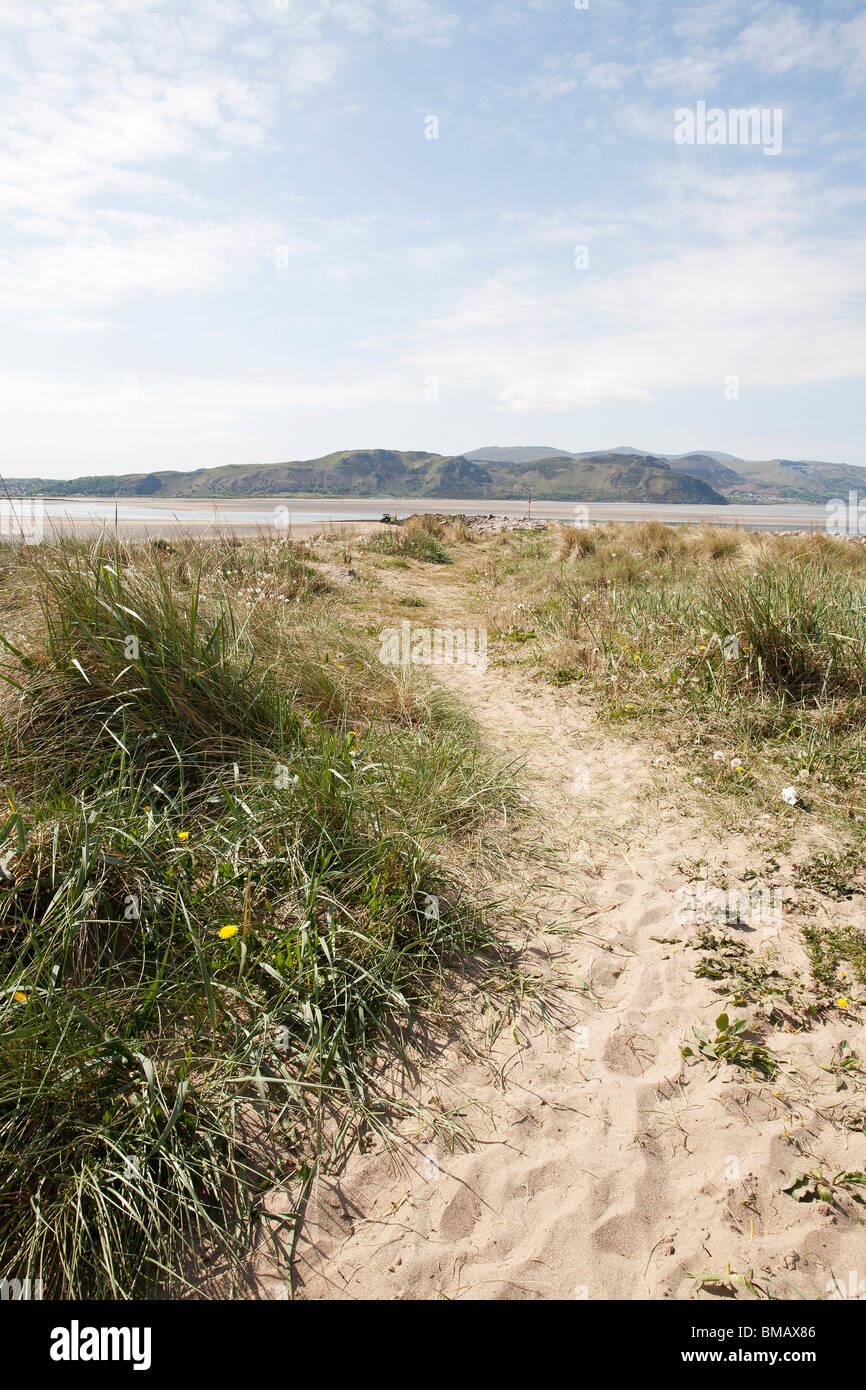 path through the grass to a sandy beach Stock Photo - Alamy