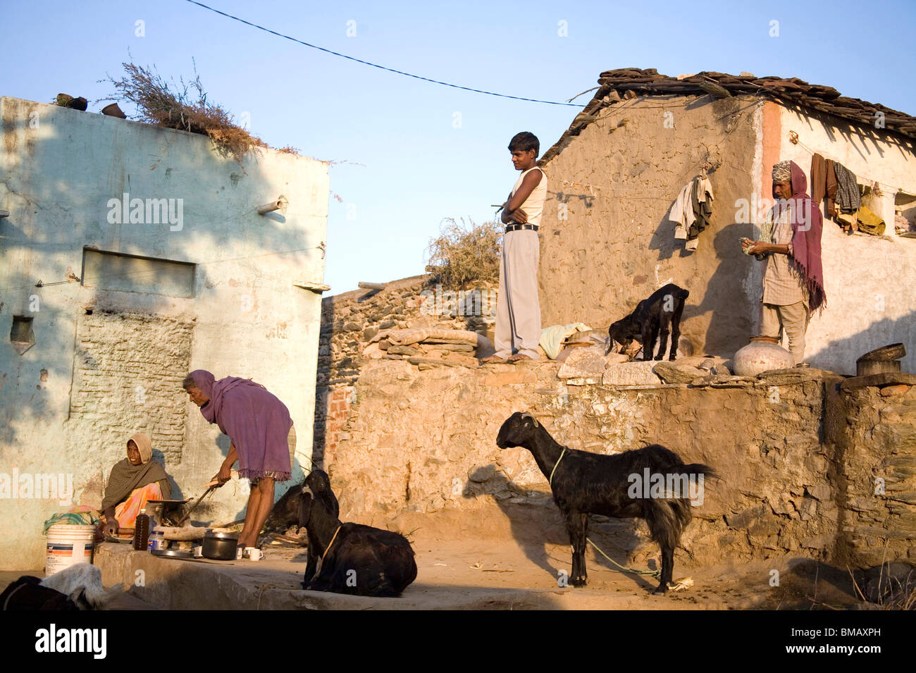 Rural activity of Bheel tribal community ; semi urban village Dilwara ...
