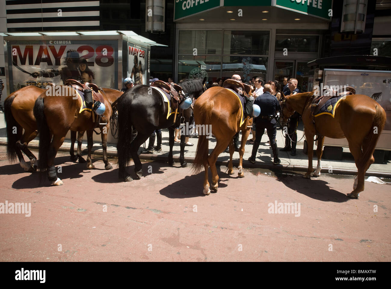 Mounted NYPD officers park their horses and greet tourists in Times ...