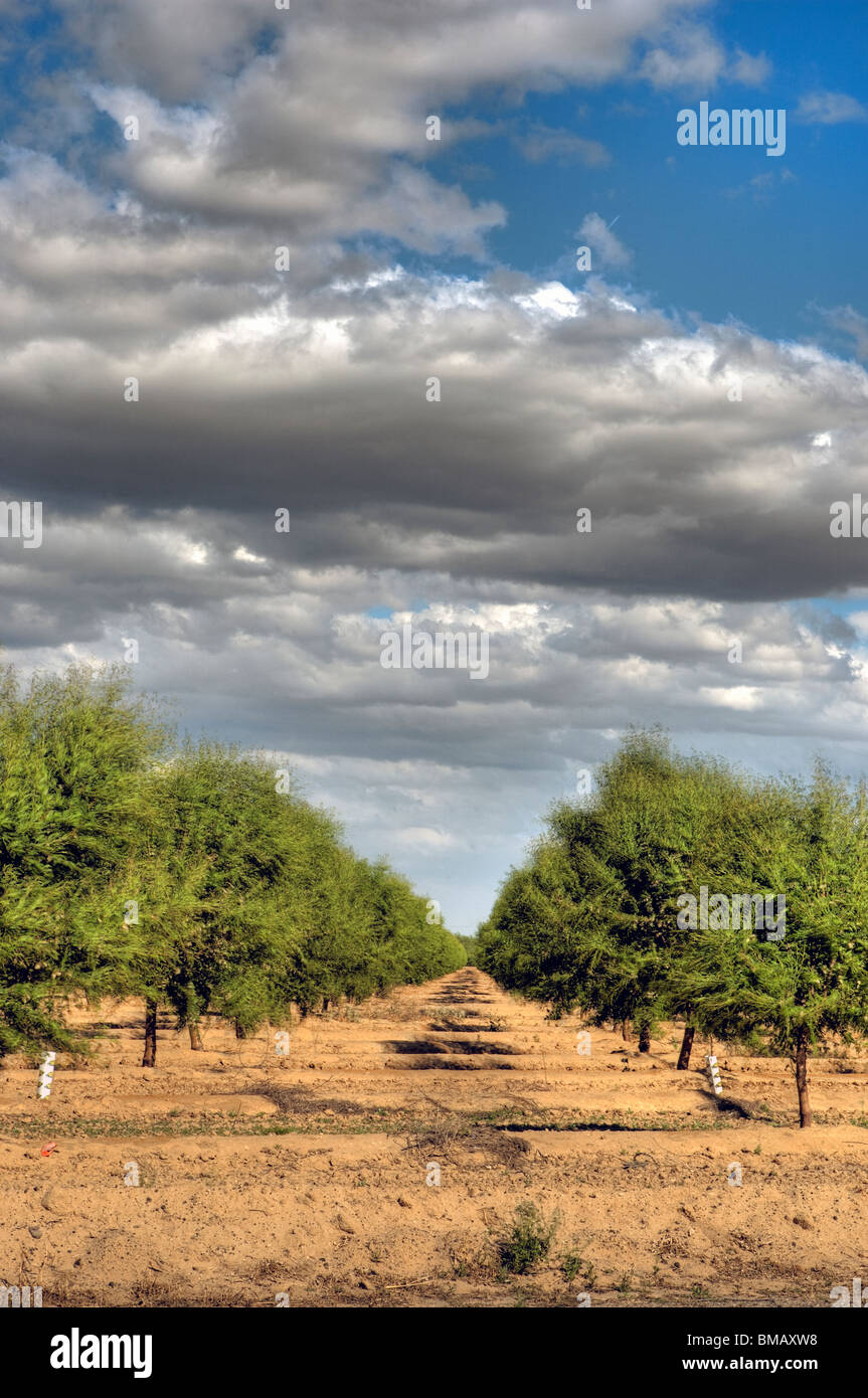 Hdr dramatic hi-res stock photography and images - Alamy