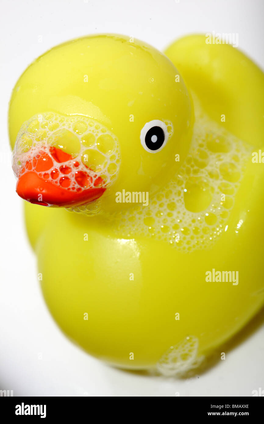 Rubber duck bubbles hi-res stock photography and images - Alamy