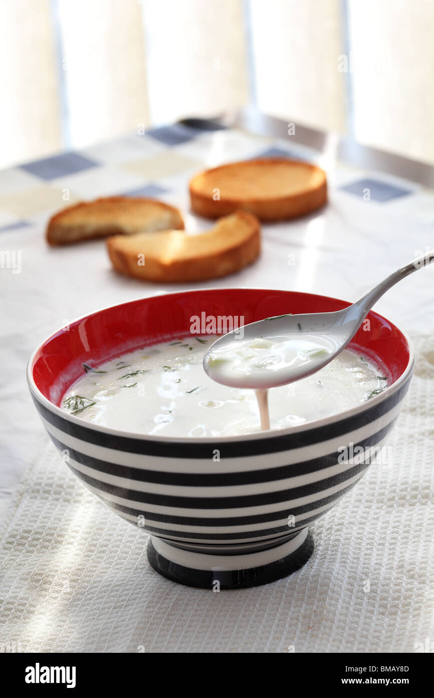 tarator yogurt cucumber soup tzatziki Stock Photo - Alamy