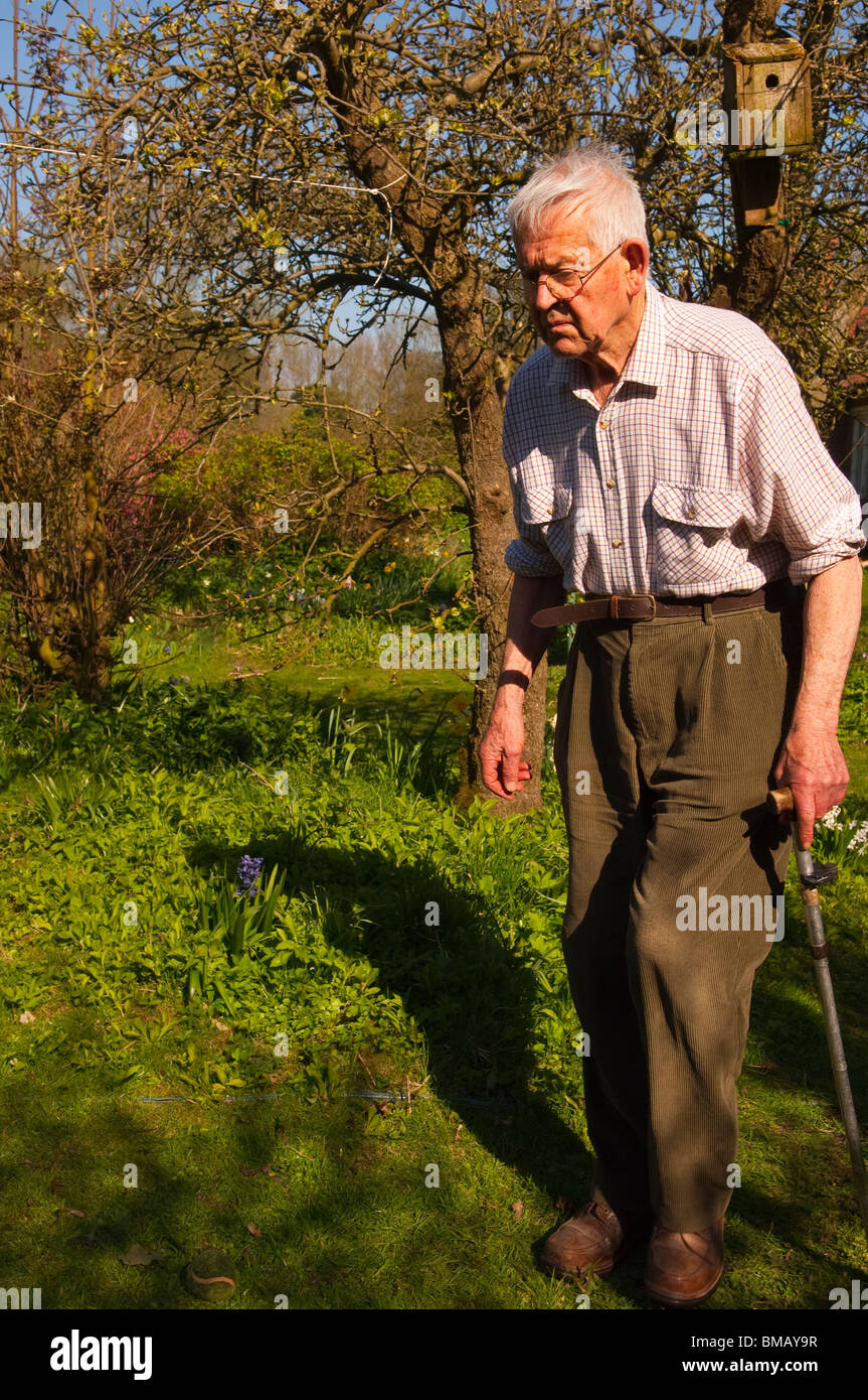 A MODEL RELEASED picture of an elderly man in a cottage garden in ...