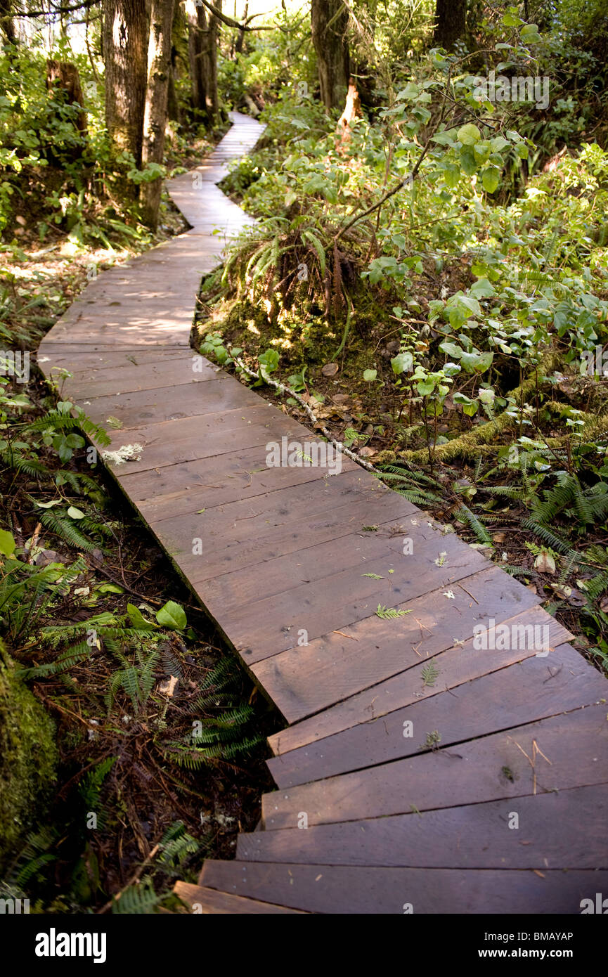 Pathway path structure hi-res stock photography and images - Alamy