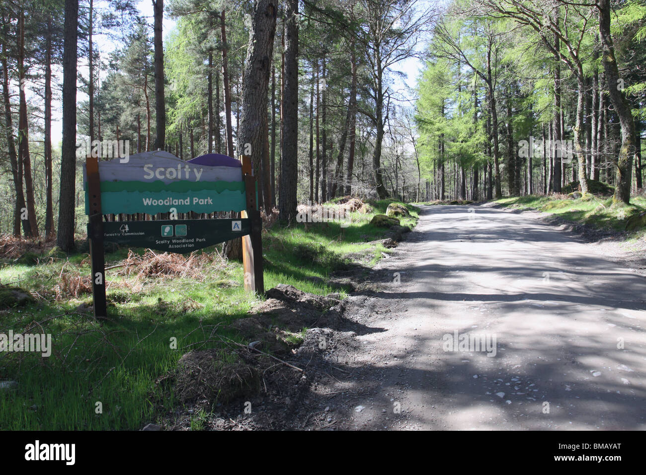 Scolty woodland hi-res stock photography and images - Alamy