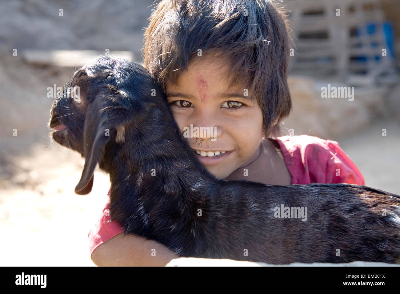 Rural girl with baby goat ; Bheel basti ; village Dilwara ; Udaipur ...
