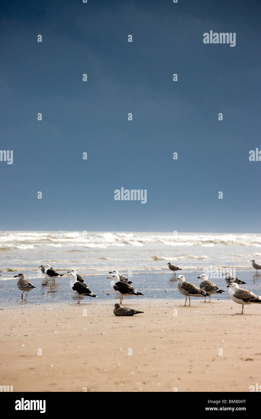 Riding at anchor hi-res stock photography and images - Alamy