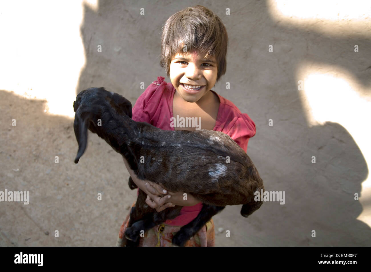 Rural girl with baby goat ; Bheel basti ; village Dilwara ; Udaipur ...
