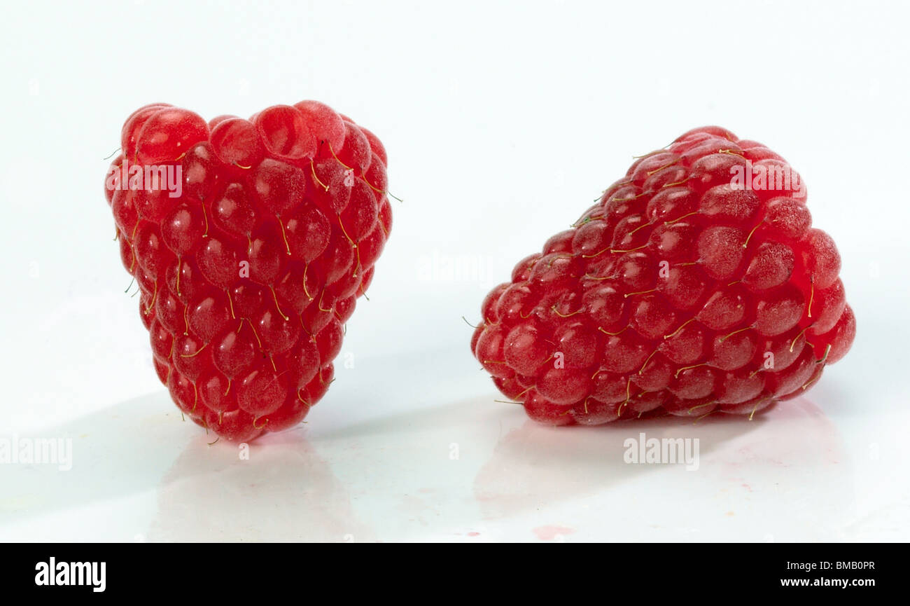 Two raspberries hi-res stock photography and images - Alamy