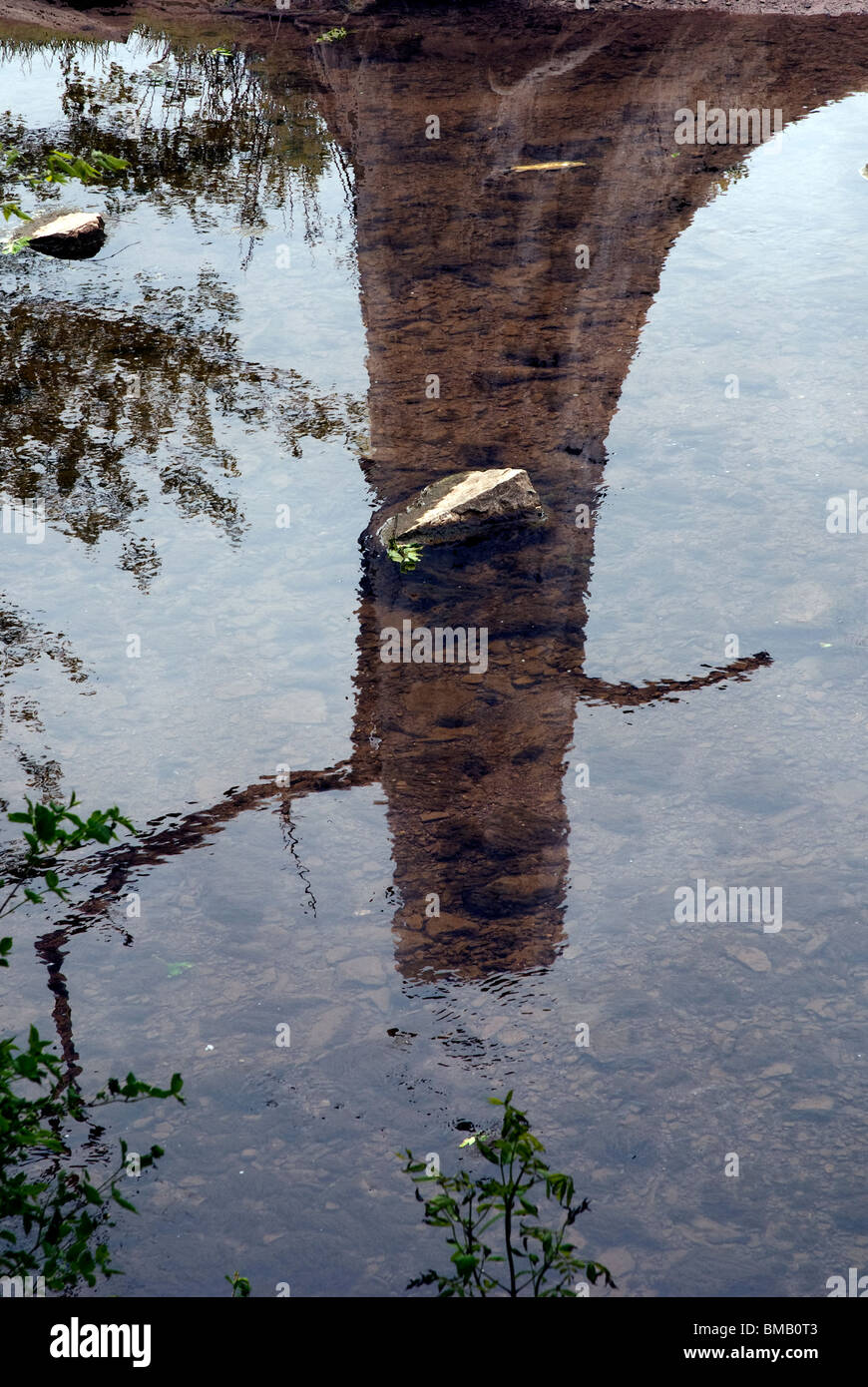 Reflection of tree in stream Stock Photo - Alamy