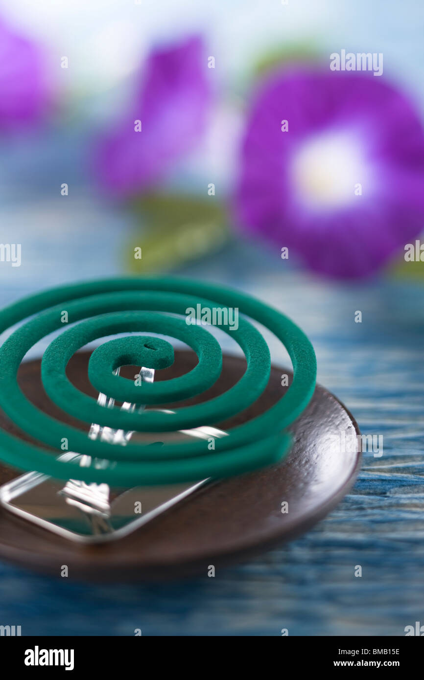 Mosquito coil hi-res stock photography and images - Alamy