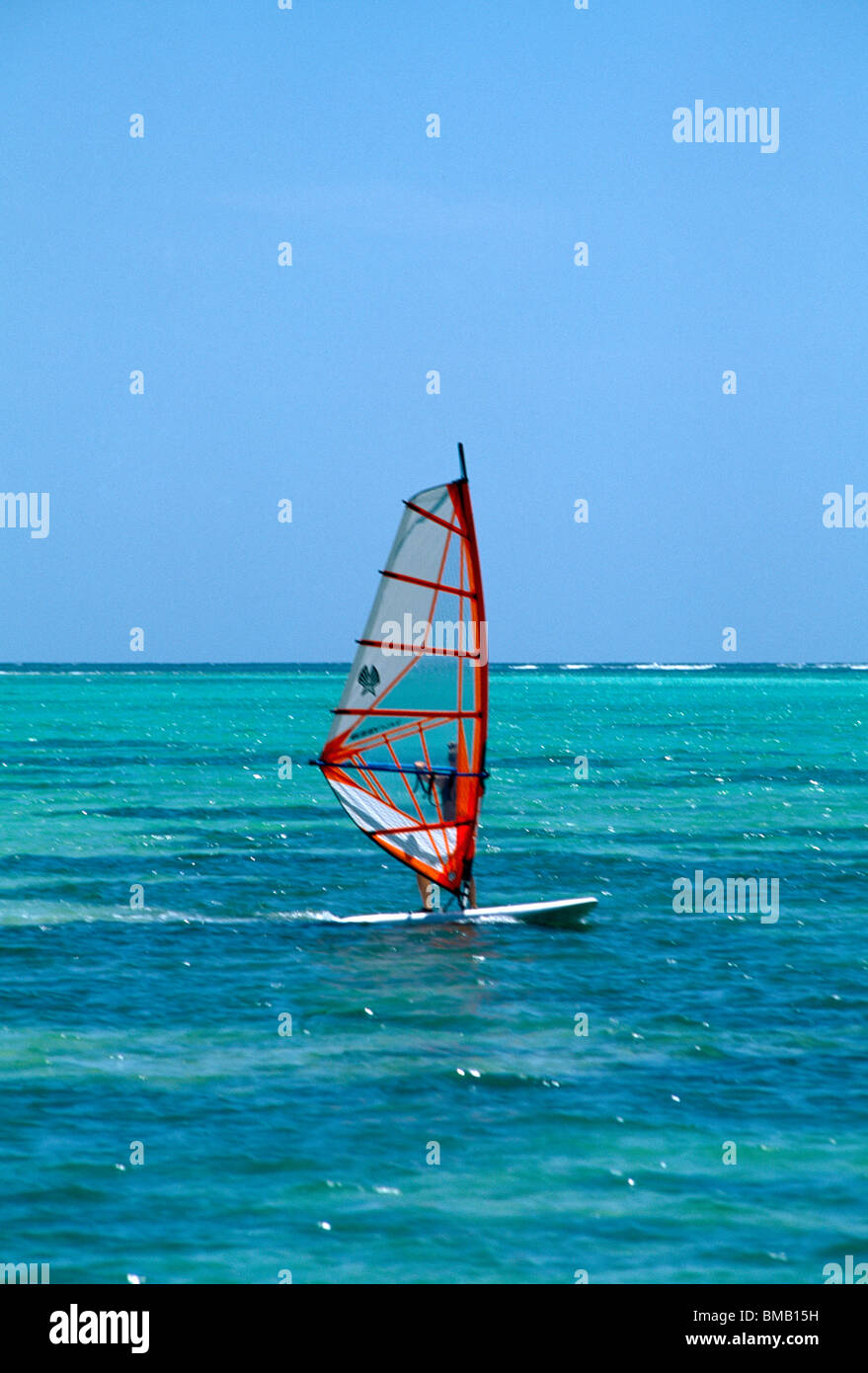 Caribbean - Windsurfer Stock Photo - Alamy