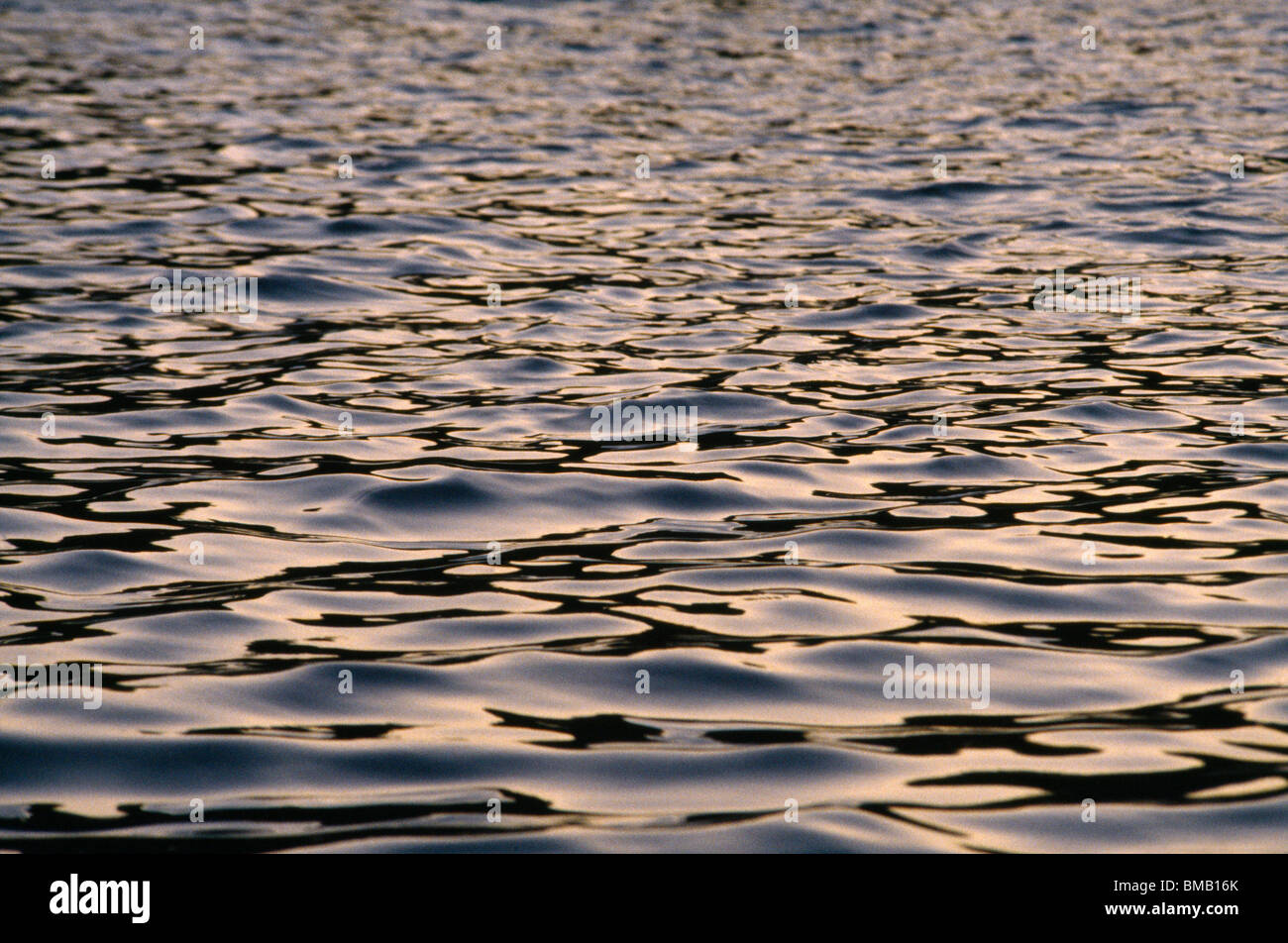 Trinidad Caroni Swamp Brackish Water Stock Photo - Alamy