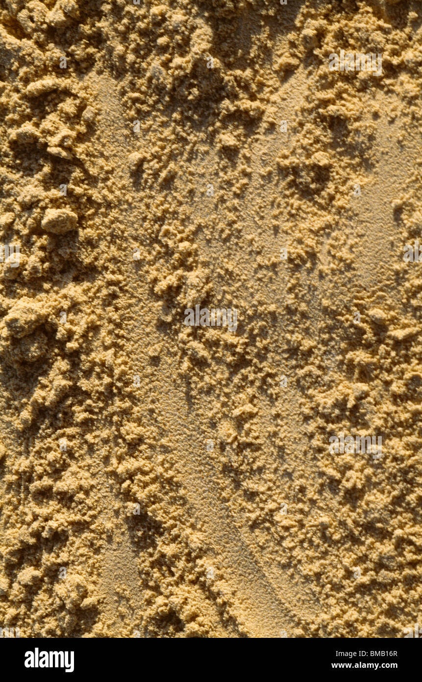 Caribbean - Wet Sand Pigeon Point Tobago Stock Photo - Alamy