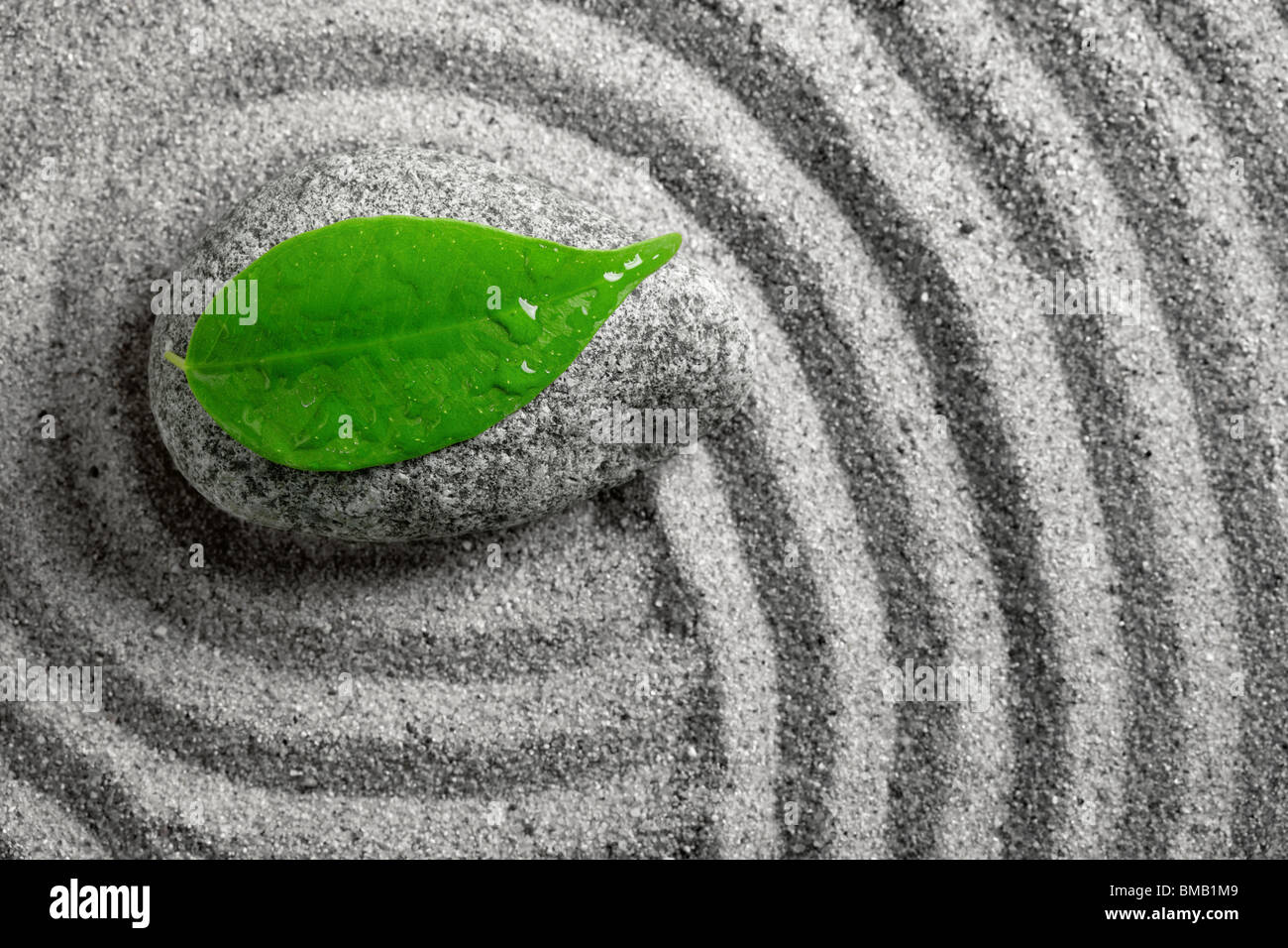 zen stone with leaf Stock Photo - Alamy