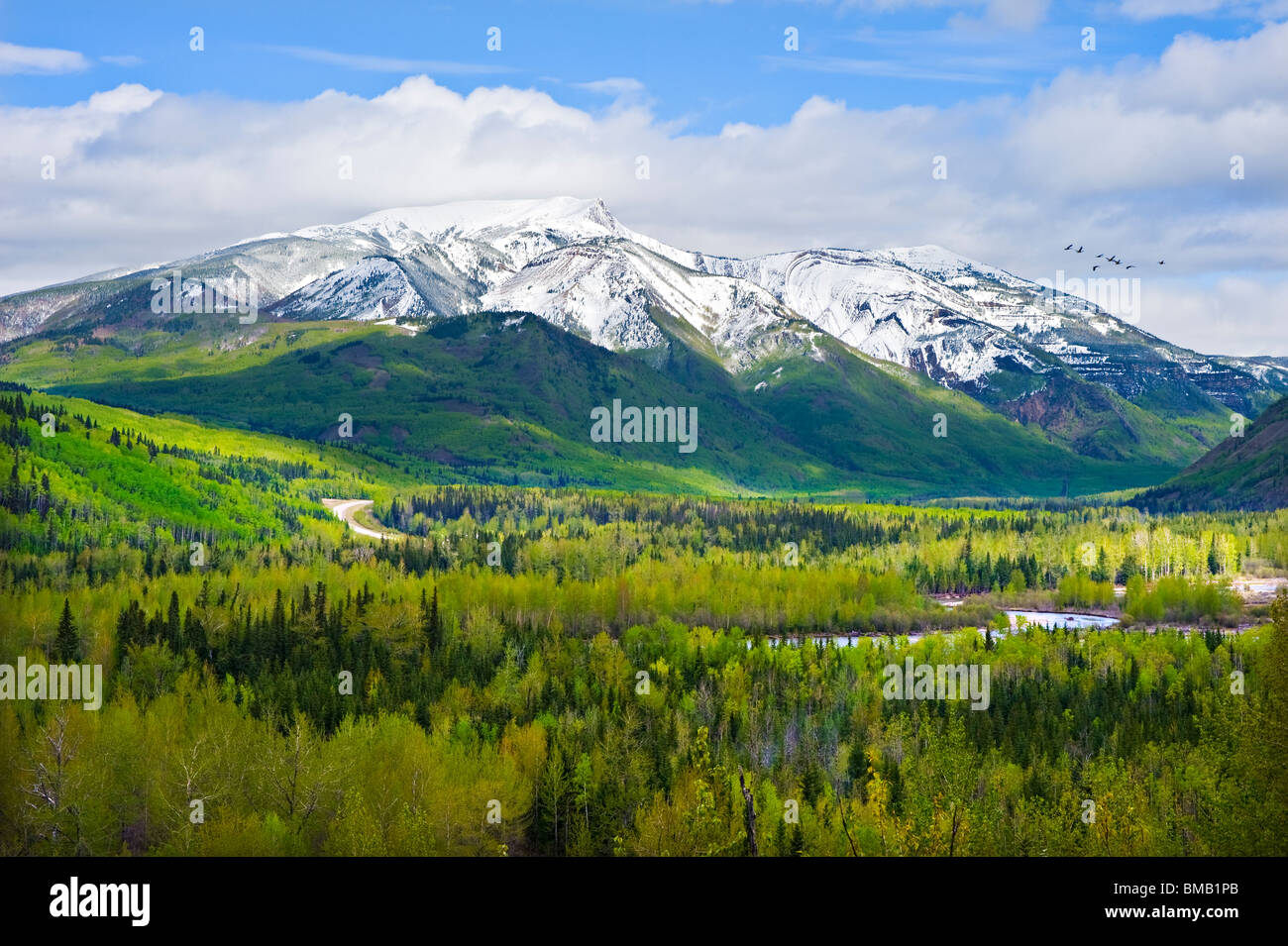 Snow-capped Mount Hamel Stock Photo - Alamy