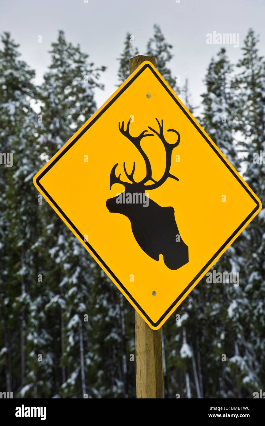 A highway sign warning of wild caribou Stock Photo - Alamy