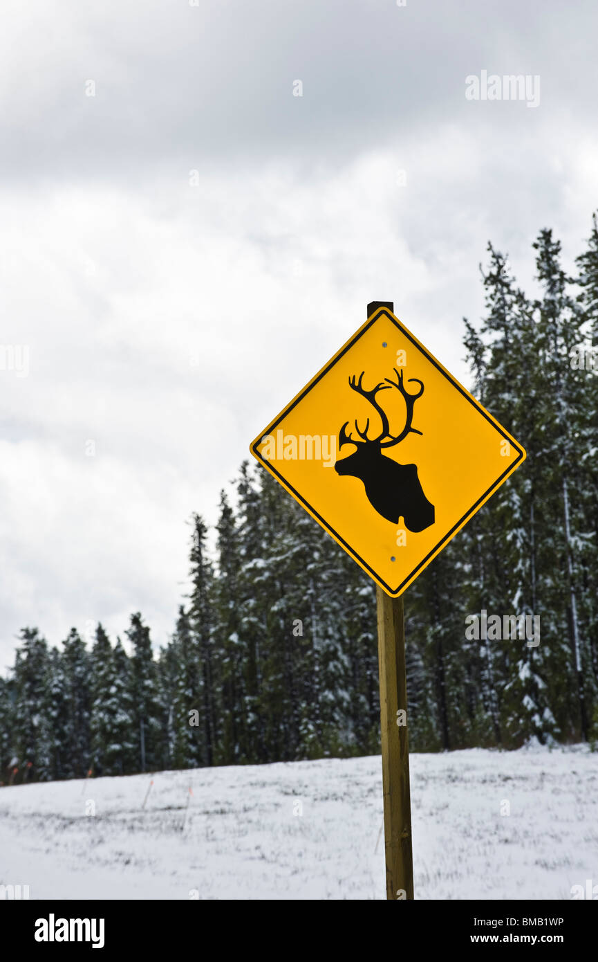 A highway sign warning of wild caribou Stock Photo - Alamy