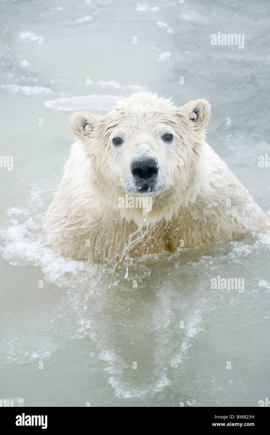 Slushy area hi-res stock photography and images - Alamy