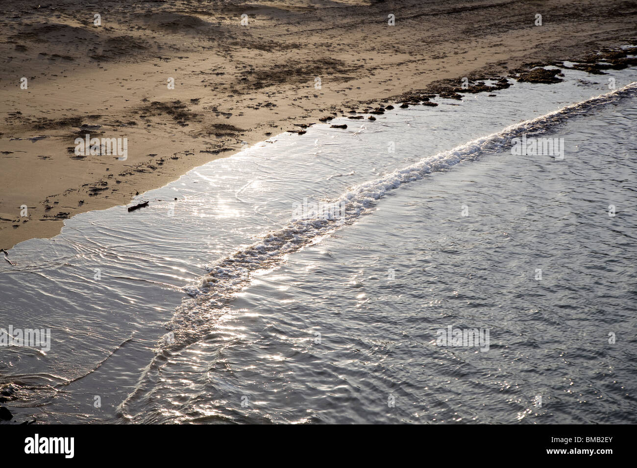 Dying ocean hi-res stock photography and images - Alamy