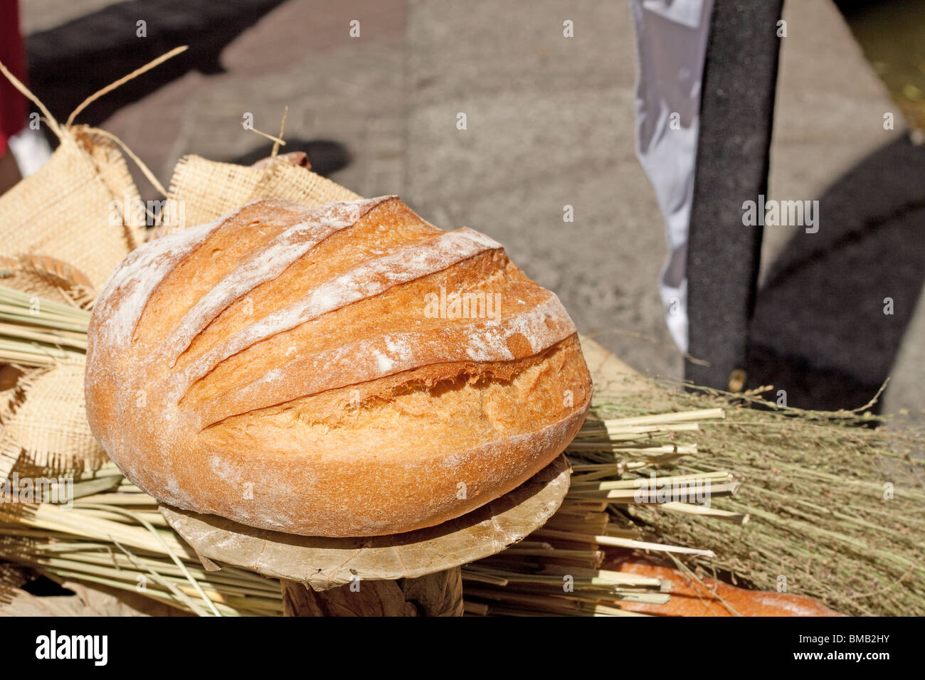 Integral pasta bread hi-res stock photography and images - Alamy