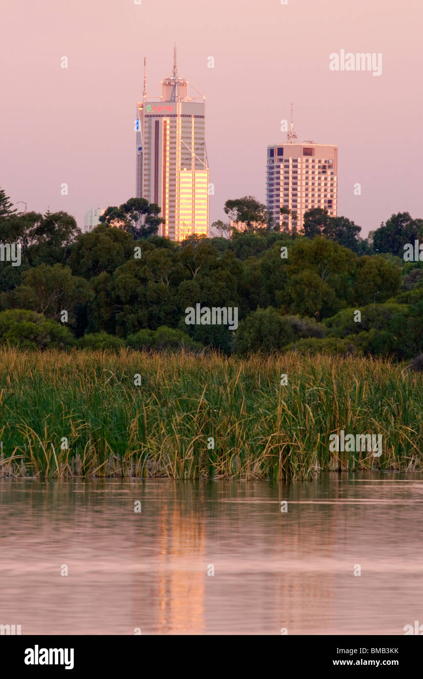 Inner-city wetlands nature reserve with city skyscrapers in the ...