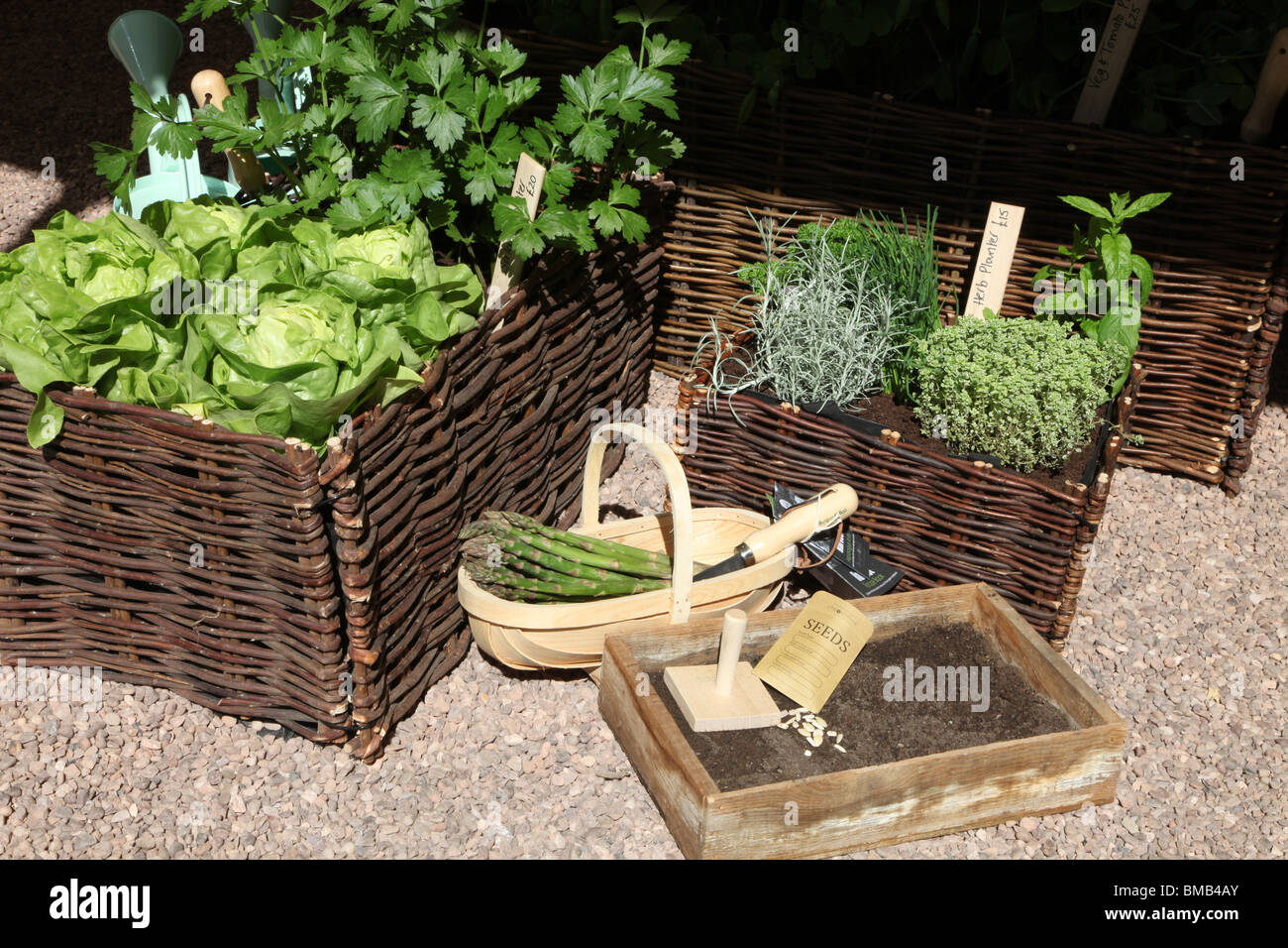 grow-your-own vegetables, Chelsea Flower Show Stock Photo - Alamy