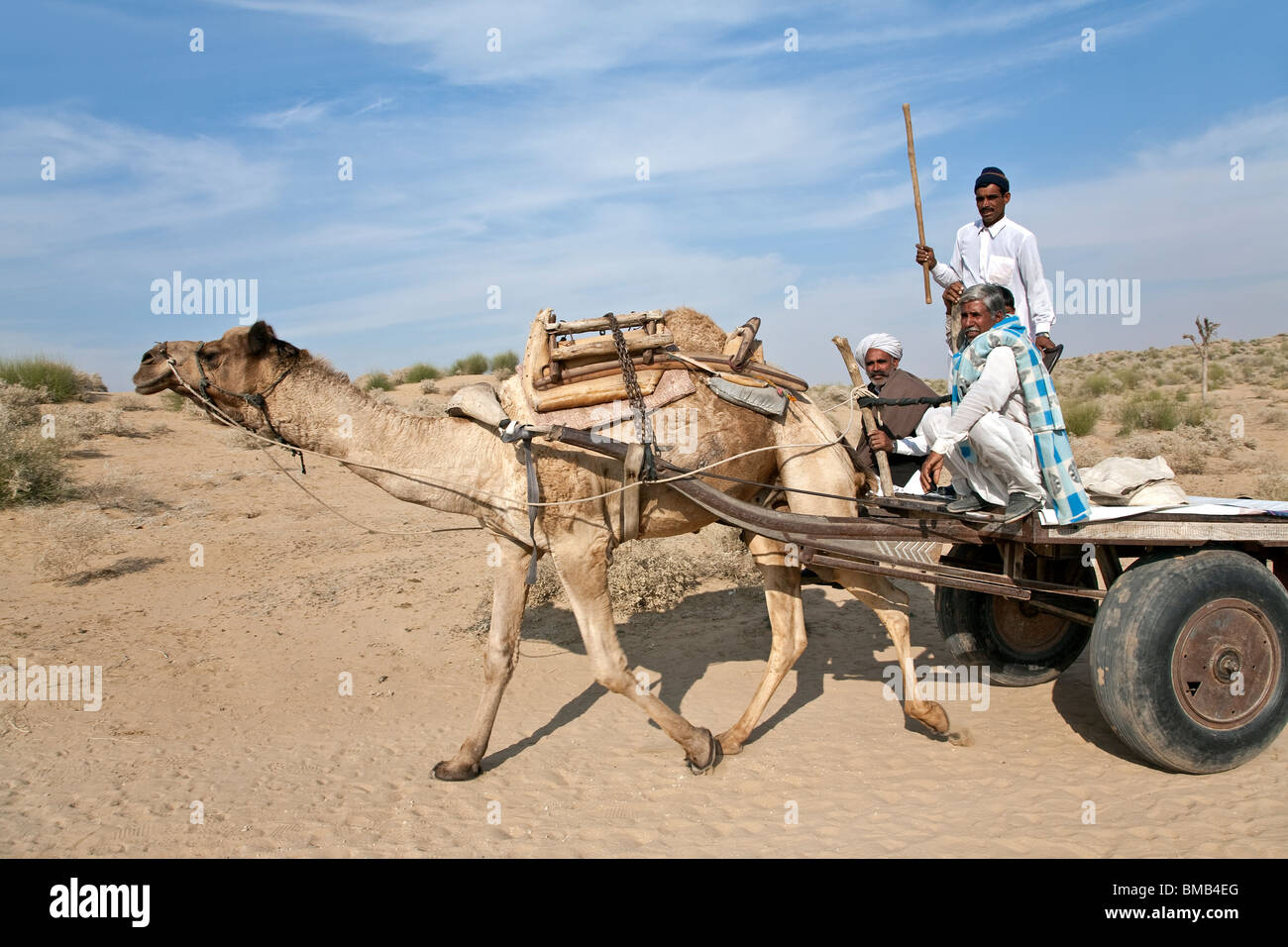 Camel pulling cart hi-res stock photography and images - Alamy
