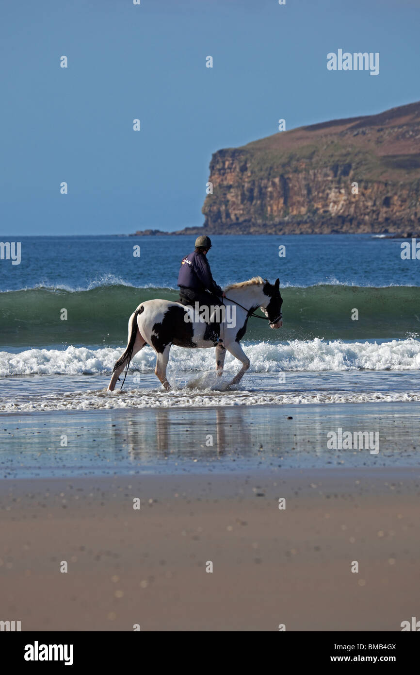 Riding horse shore hi-res stock photography and images - Alamy