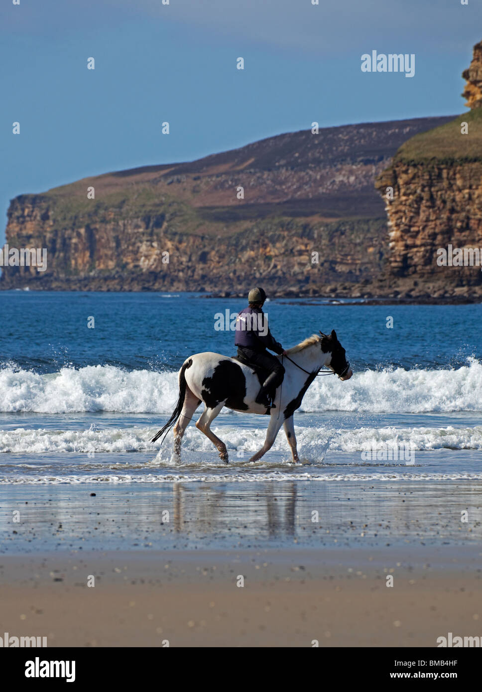 Horserider riding horse along shoreline, Dunnet Bay, Caithness ...