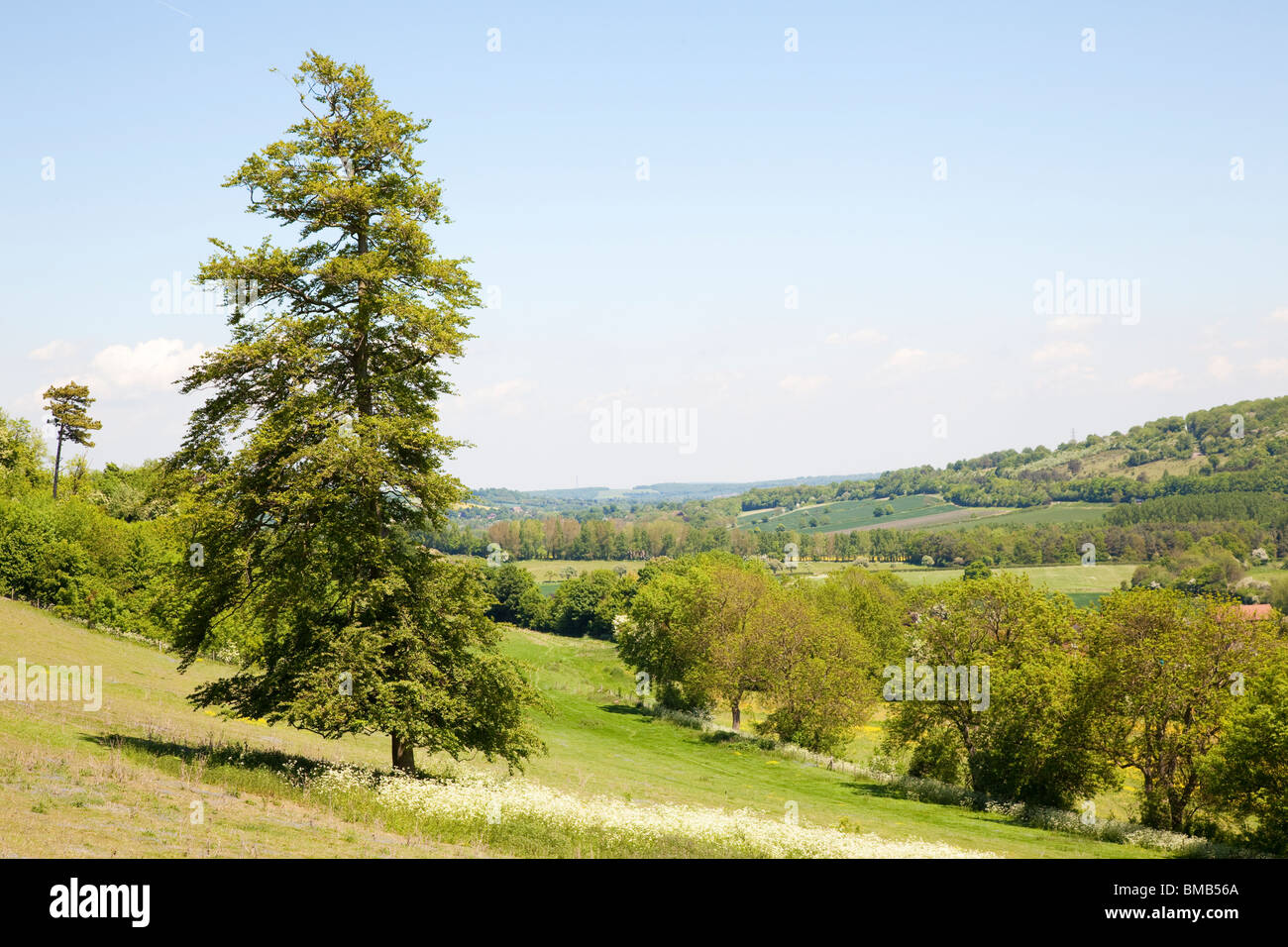 Darenth hi-res stock photography and images - Alamy
