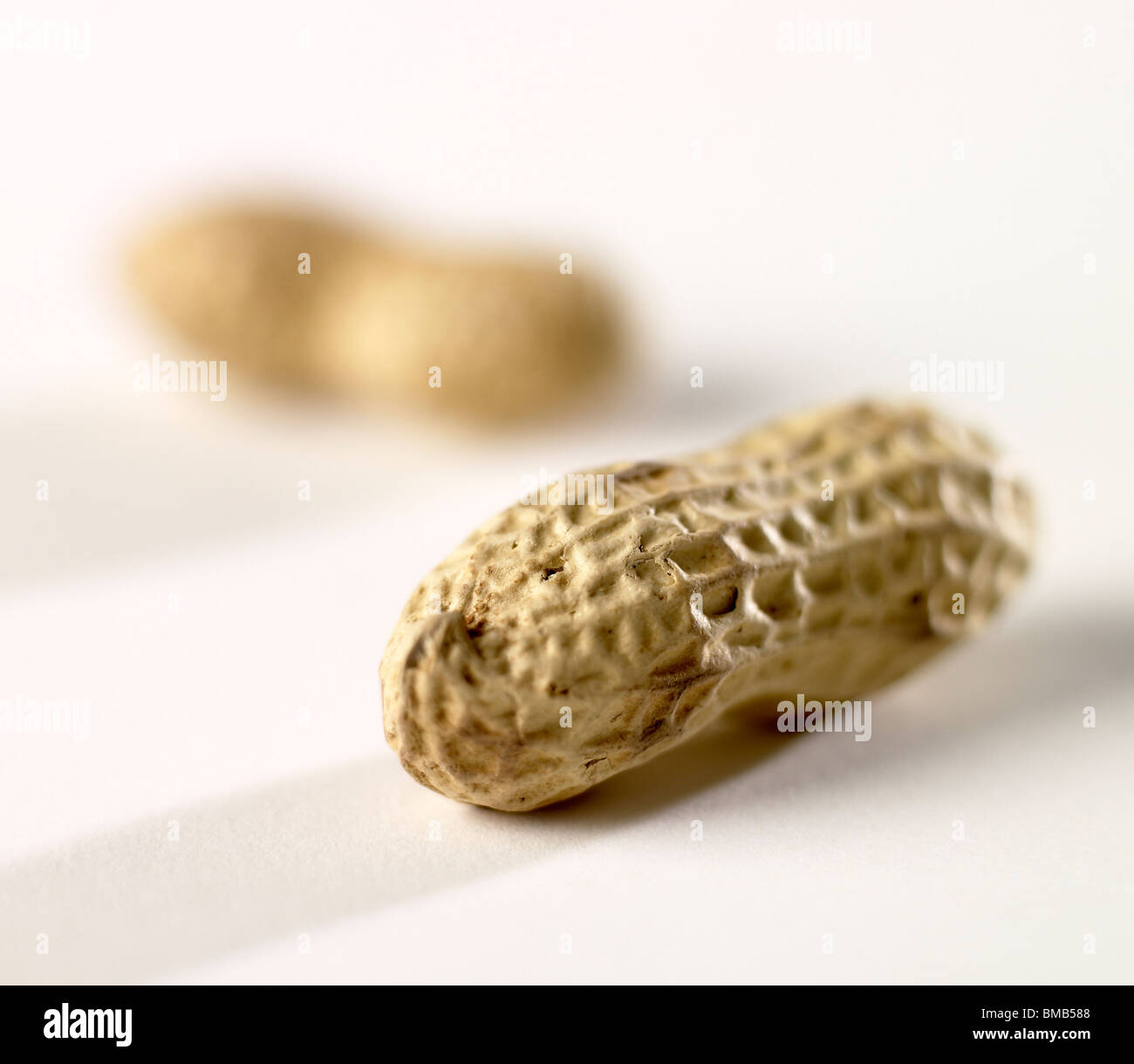 Monkey nut hi-res stock photography and images - Alamy