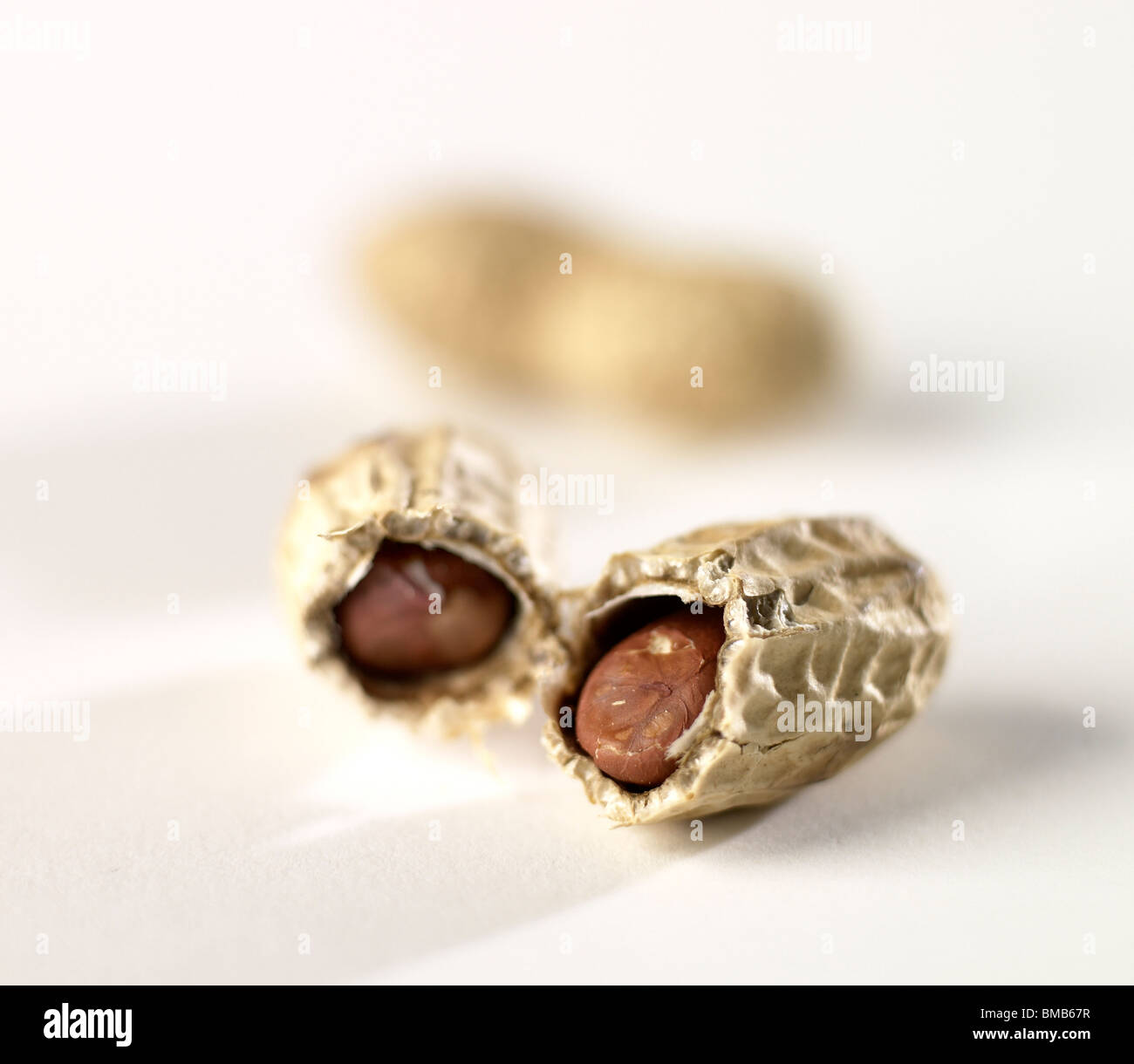 Monkey nut hi-res stock photography and images - Alamy
